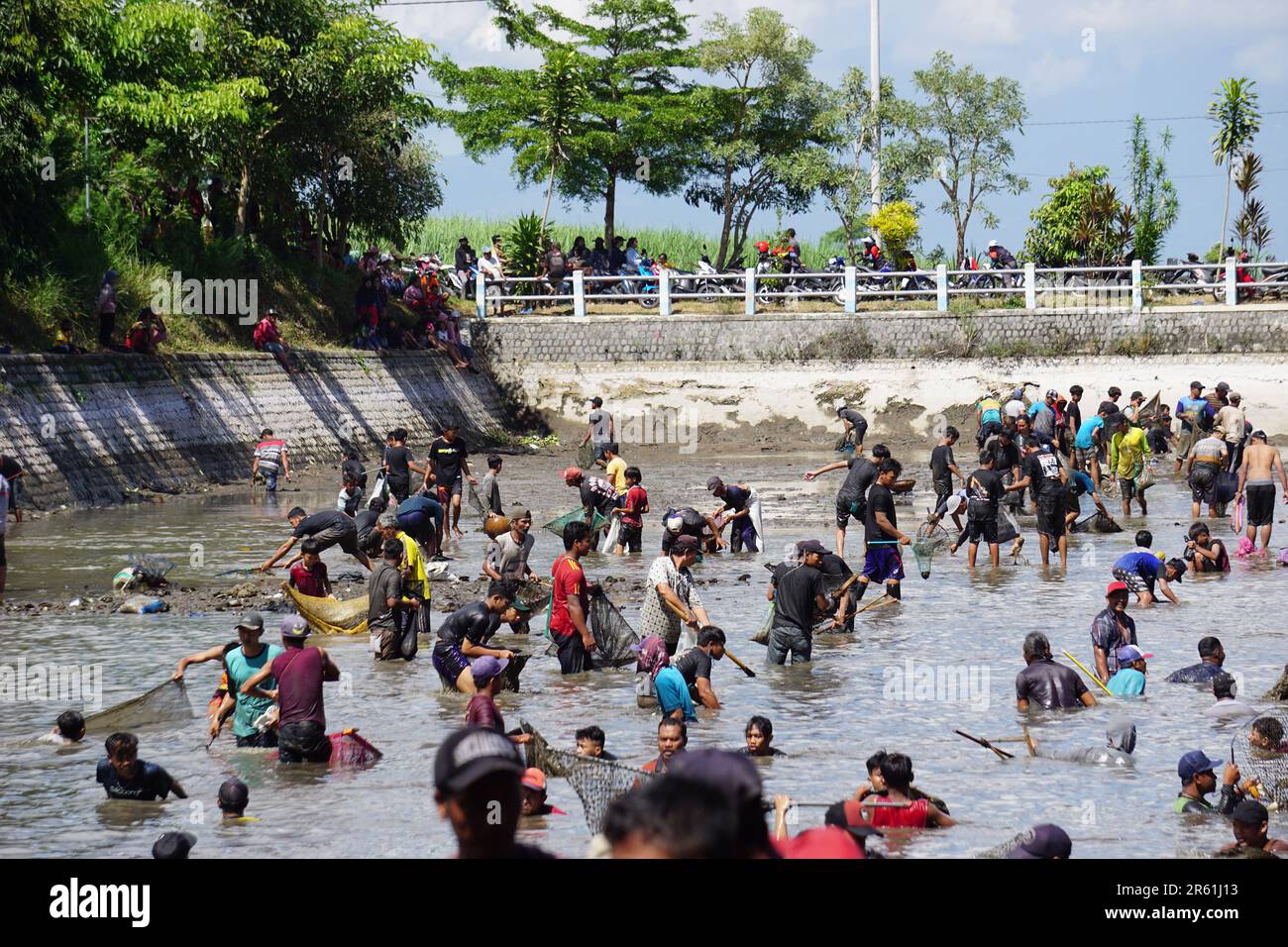 People fishing on gropyok iwak at sumber jembangan. Gropyok iwak means ...