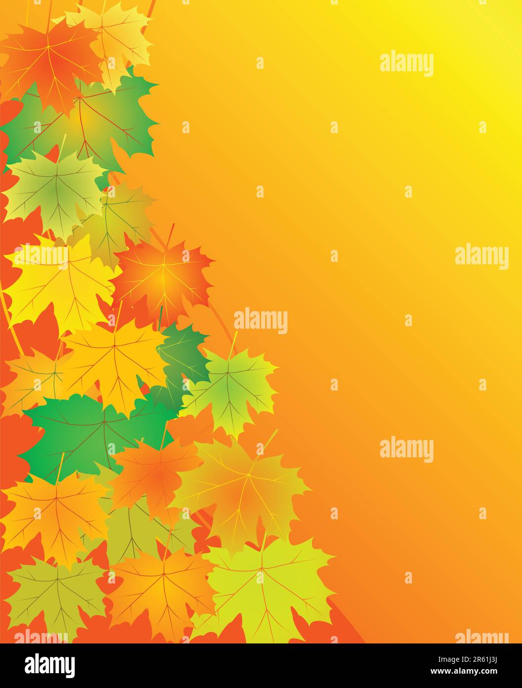Acer tree leaves Stock Vector Images - Alamy