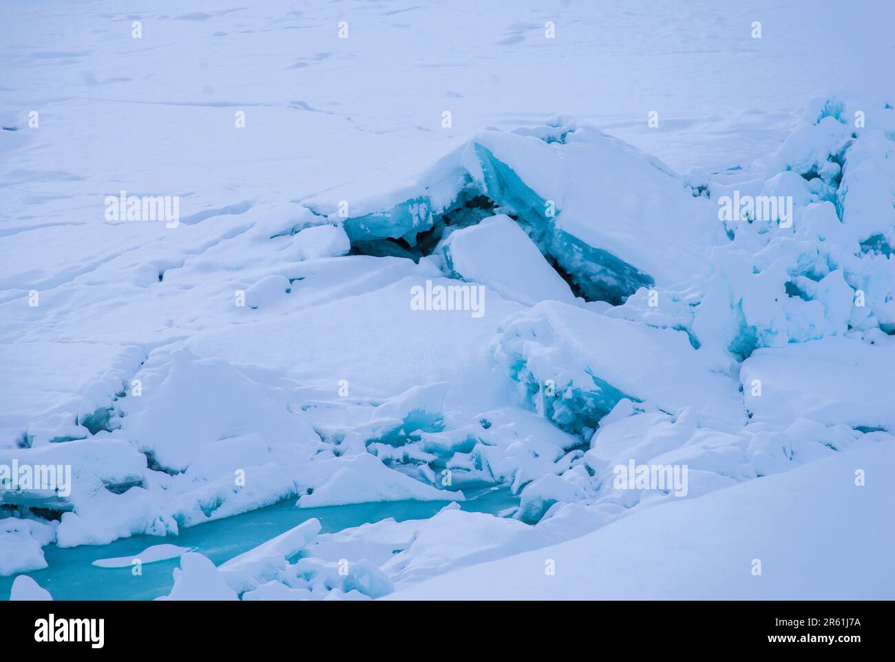 Alaskan wilderness with this stunning art piece showcasing a frozen ...