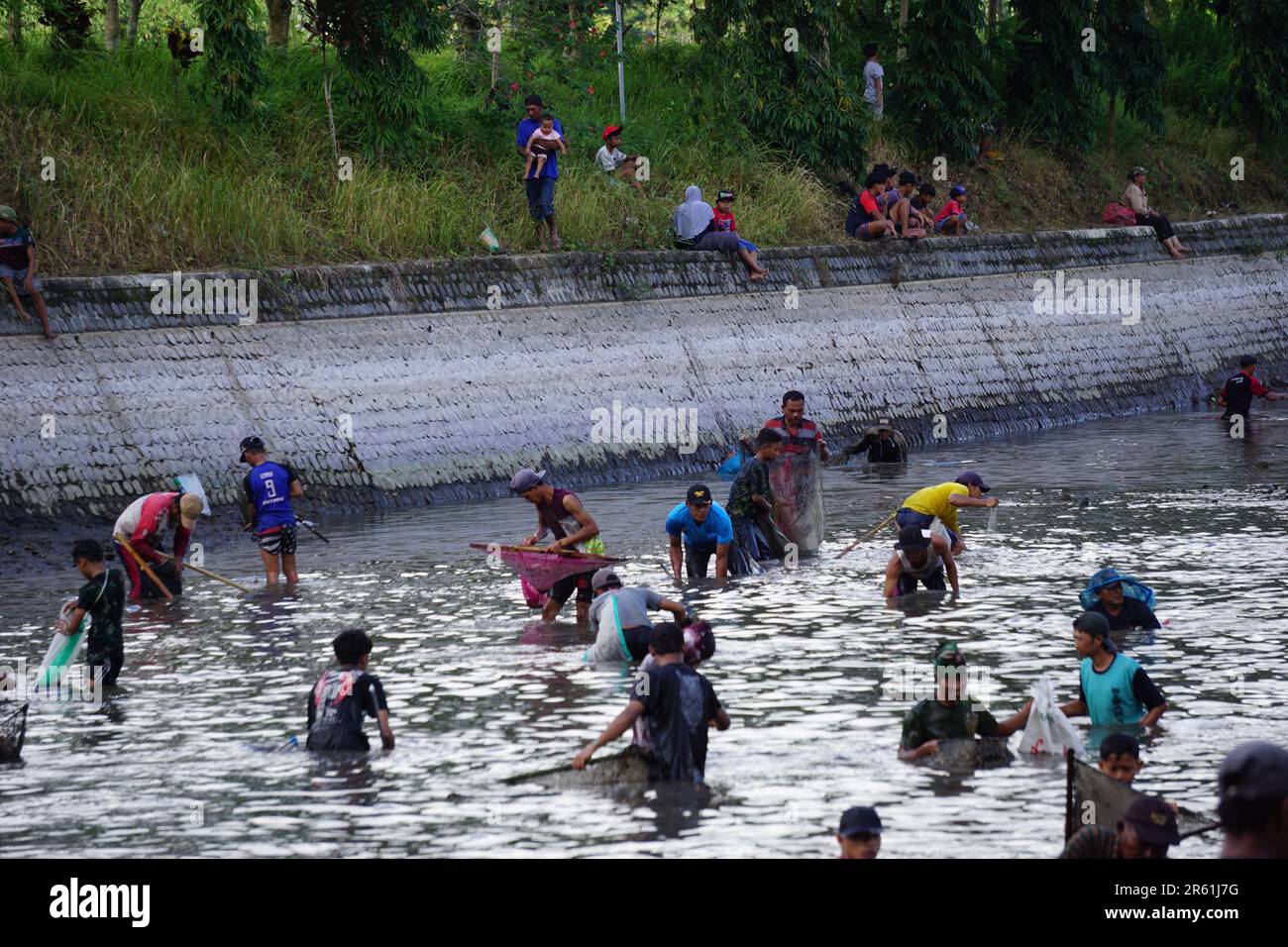 People fishing on gropyok iwak at sumber jembangan. Gropyok iwak means ...