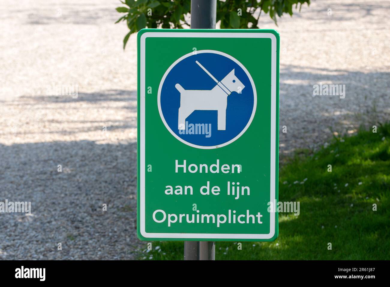 Forbidden For Dogs Sign At The Nieuwe Ooster Cemetery Amsterdam The ...