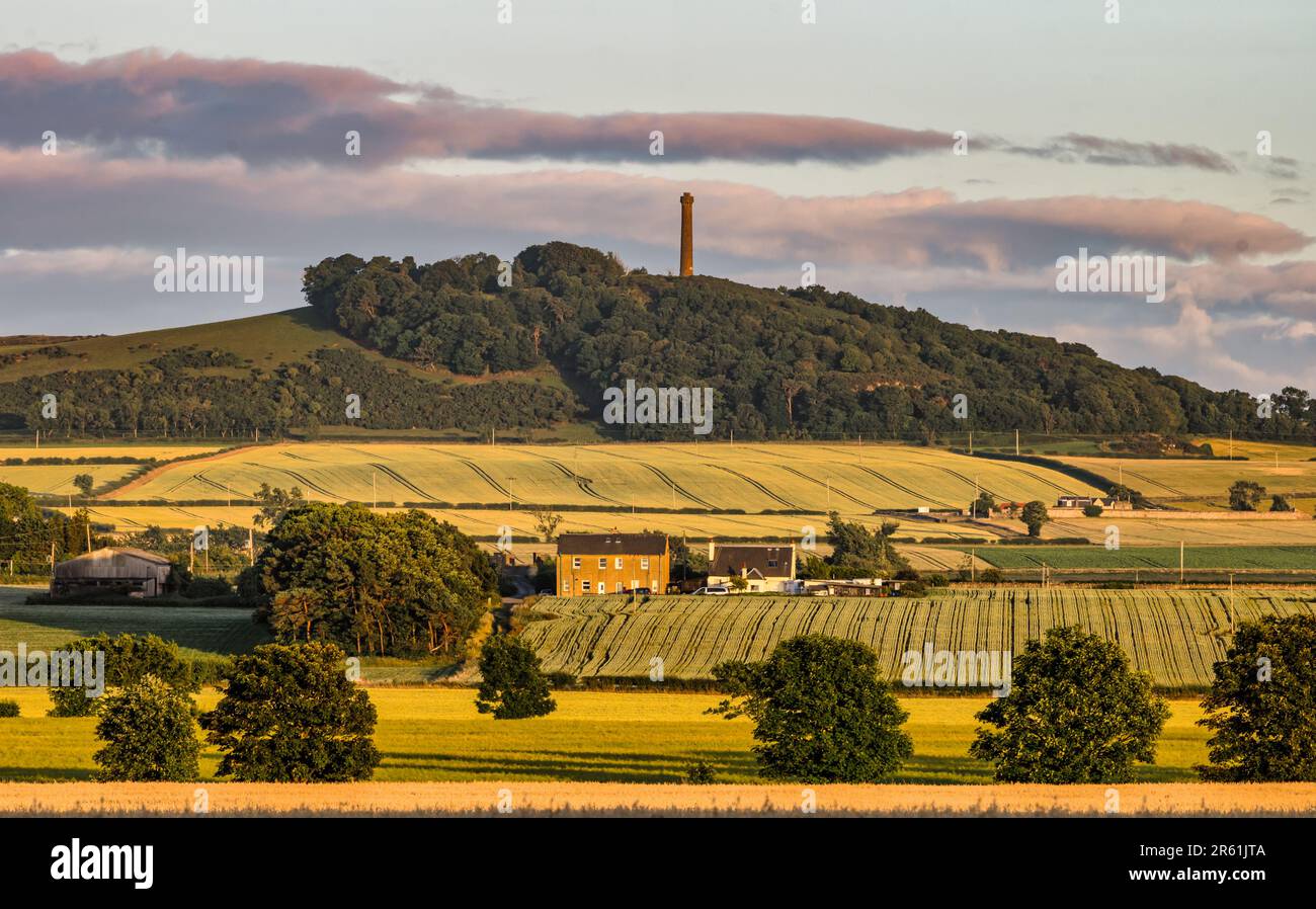 View of Hopetoun hilltop tower and farming landscape, Byres Hill, East ...