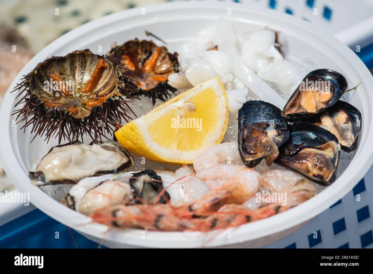 Plate of raw fresh sea fruit or food, ready to eat with sea urchins ...
