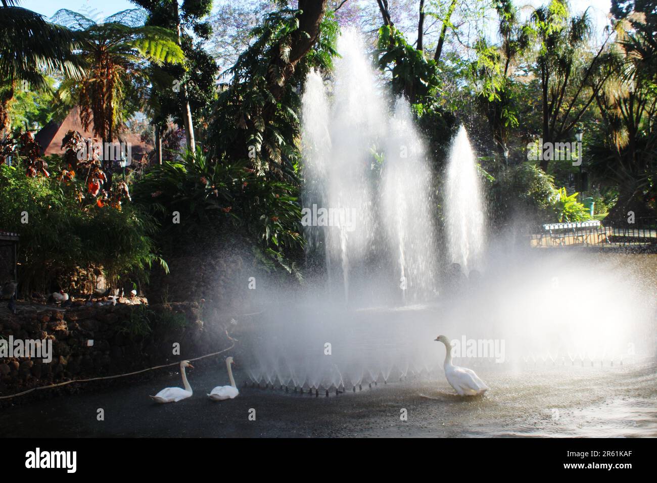 Birdwatching madeira hi-res stock photography and images - Alamy
