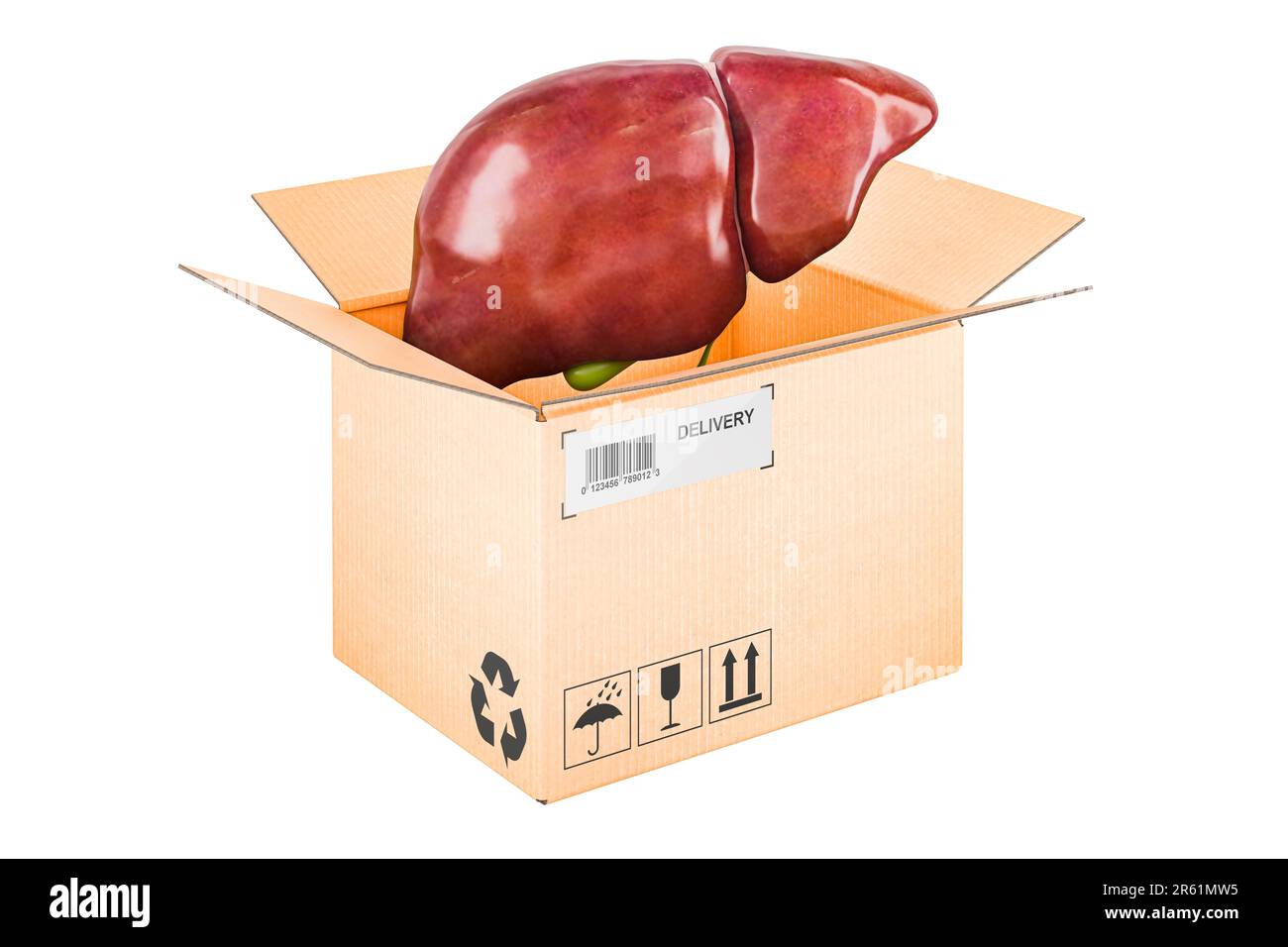 Liver and gallbladder hi-res stock photography and images - Alamy