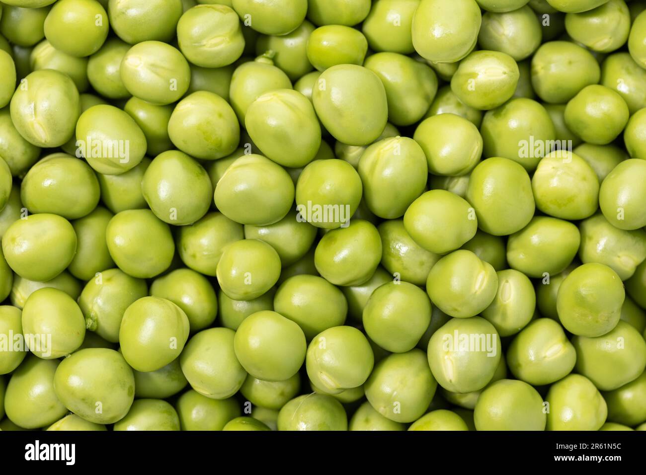Fresh Green pea background texture. Full frame Stock Photo - Alamy