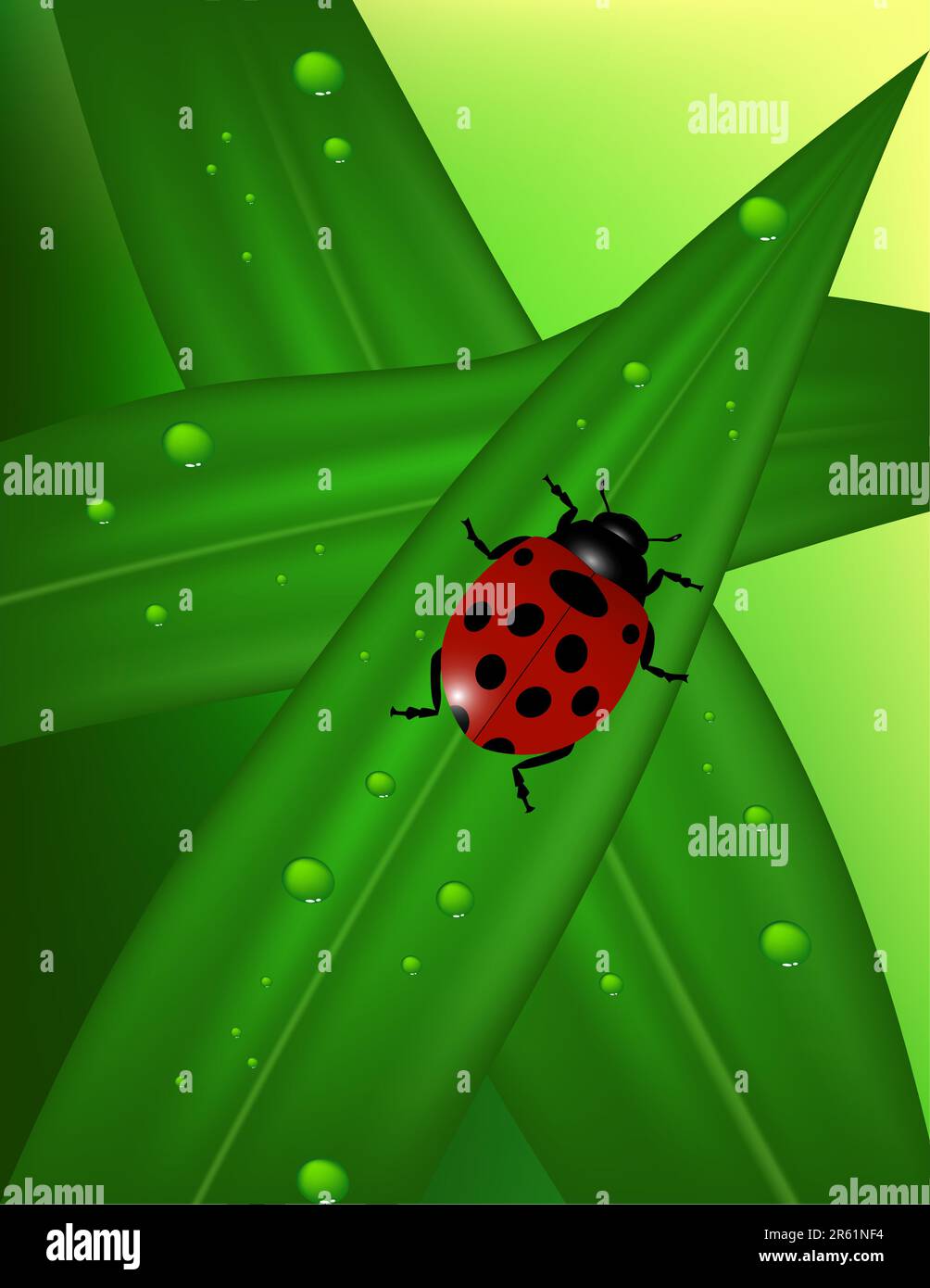 Orange color ladybug Stock Vector Images - Alamy