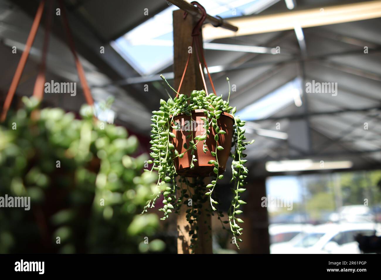 A set of three wooden flower pots suspended from a ceiling with an ...