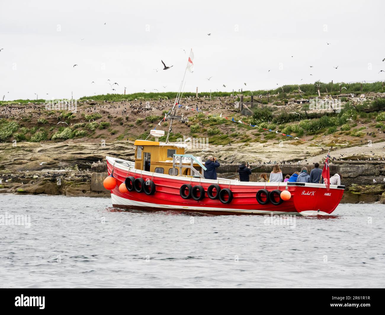 A tourist boat taking people to view the Puffins and orther seabirds at ...