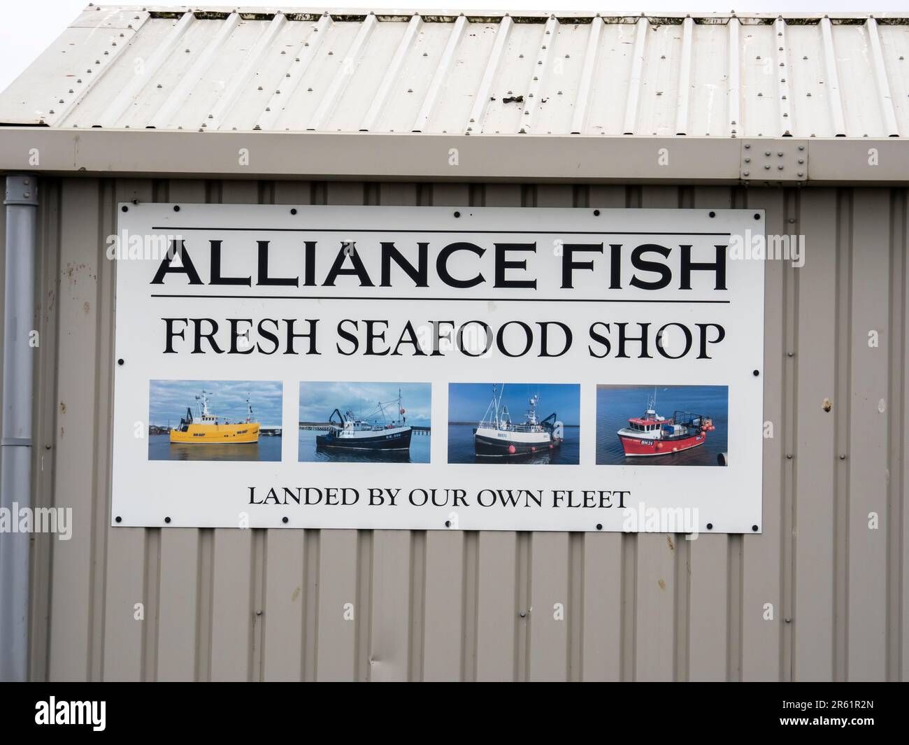 A fish shop in Amble, Northumberland, UK Stock Photo - Alamy