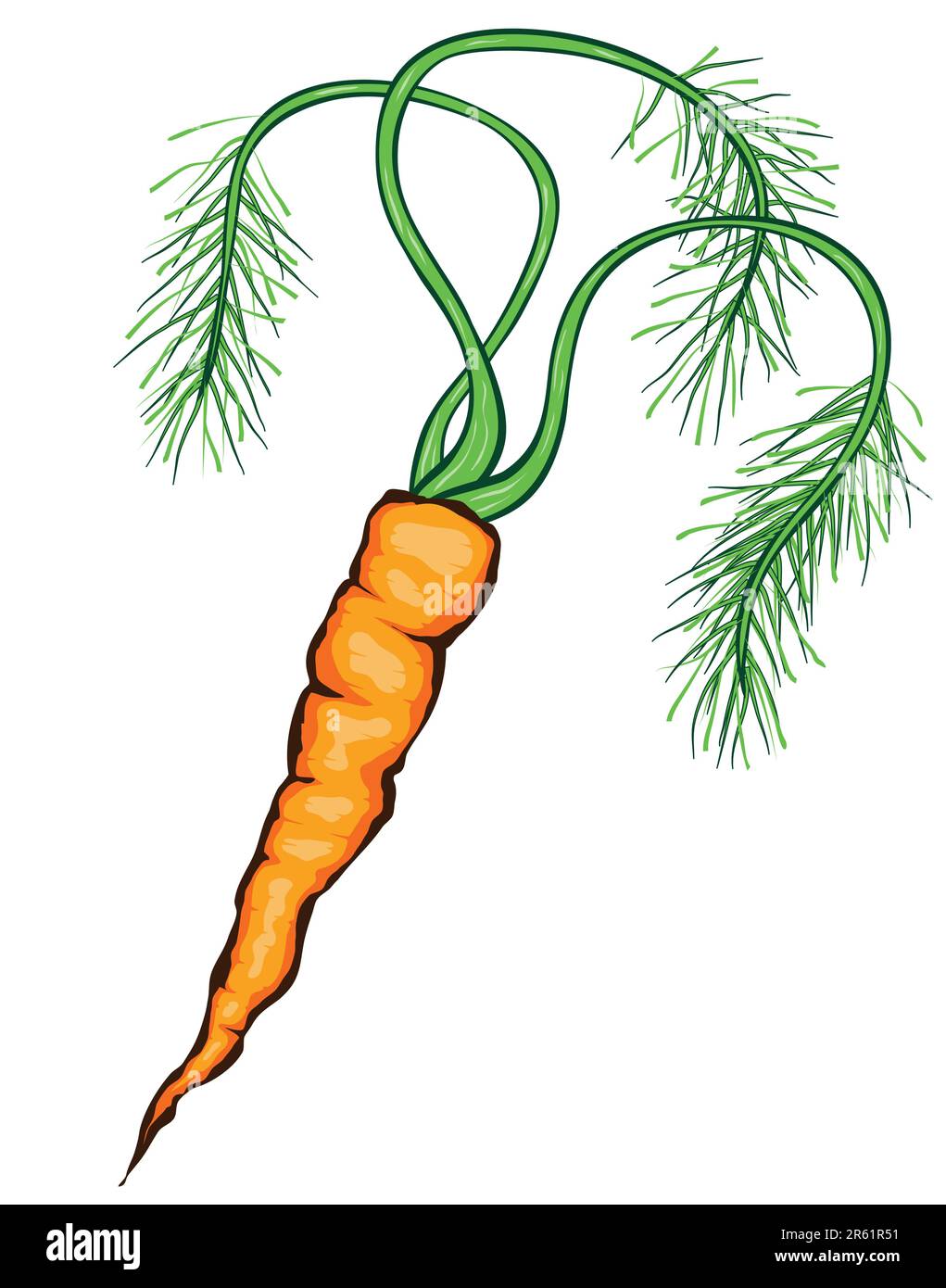 Editable vector illustration of a carrot with leaves Stock Vector Image ...