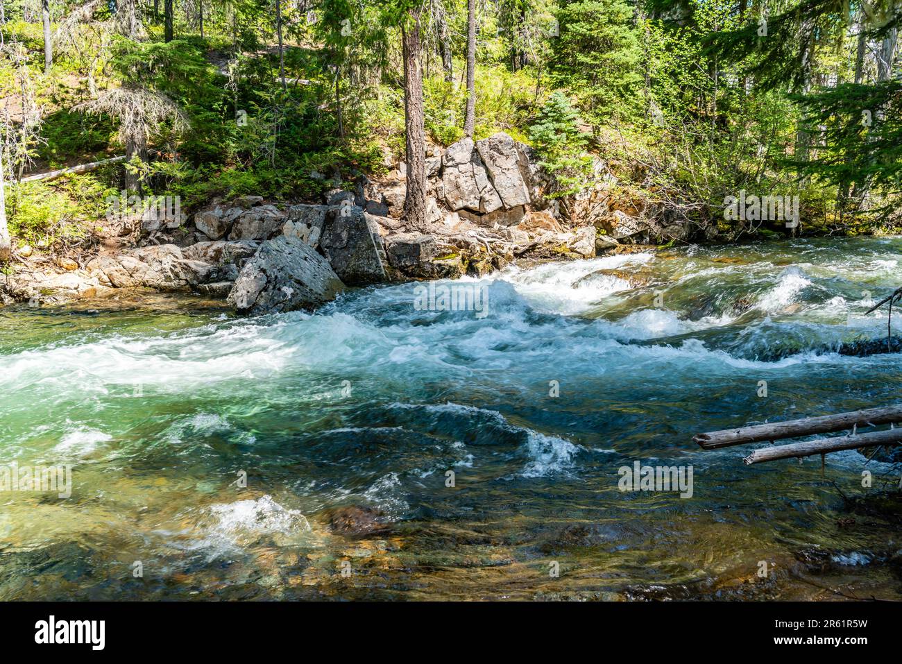 A view of a crystal clear creek along the Chinook Pass in Washington ...