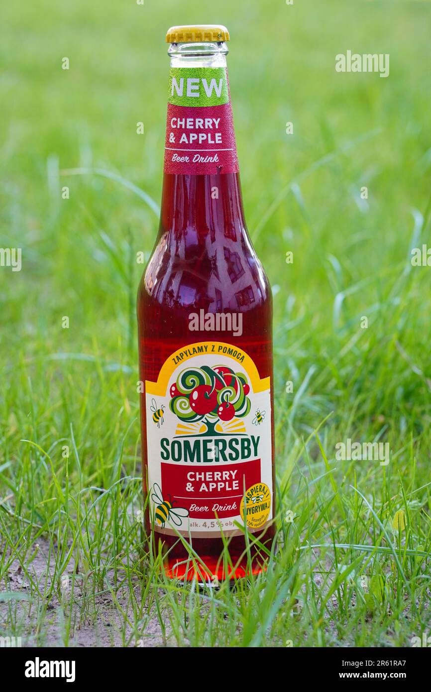 A bottle of sparkling Somersby beer on lush, green grass Stock Photo ...