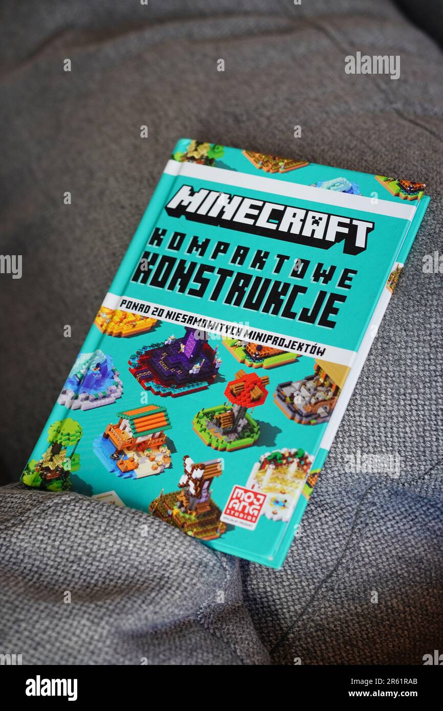 The Minecraft Miniconstruction book on the sofa Stock Photo - Alamy