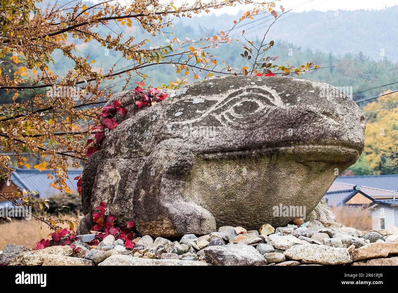 Frog representation hi-res stock photography and images - Alamy