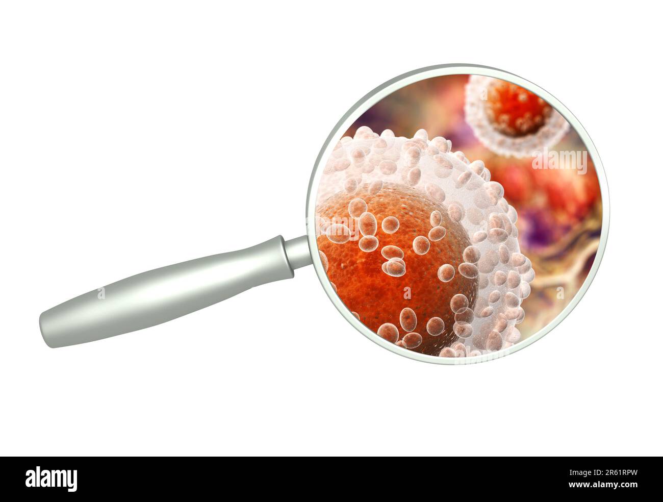 Magnifying glass and pathogenic bacterias and viruses. Fast ...