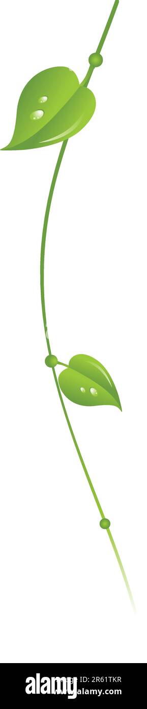 Beautiful leaf line art Stock Vector Images - Alamy