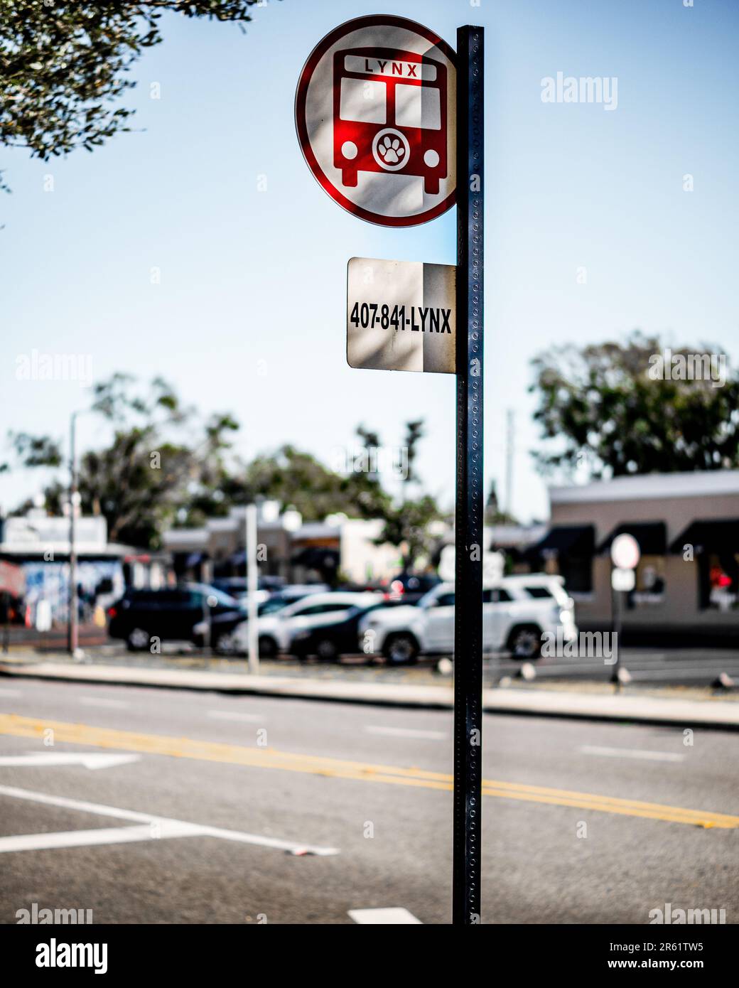 A red street sign featuring a school bus image on a metal pole Stock ...