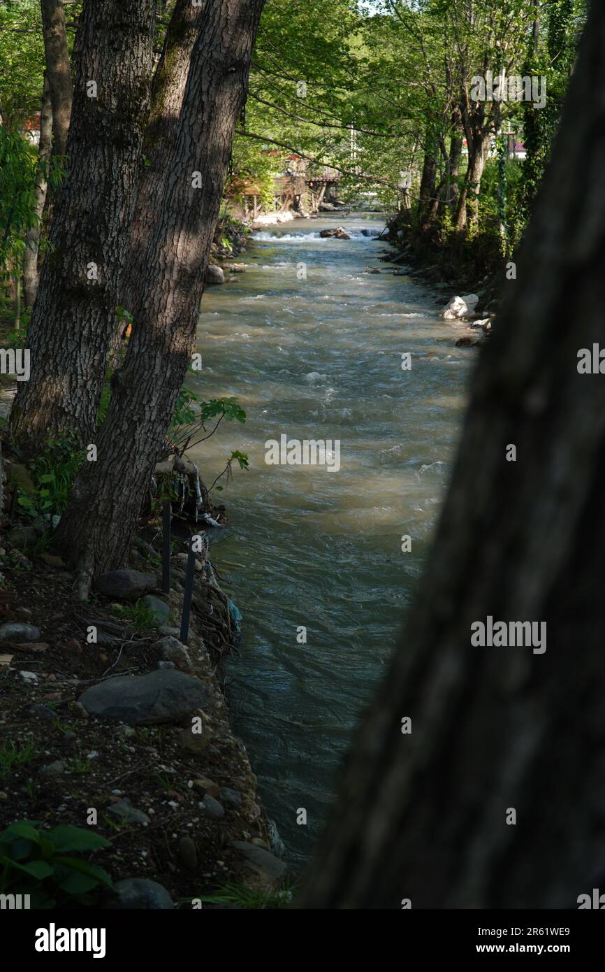 Streamside rocks hi-res stock photography and images - Alamy