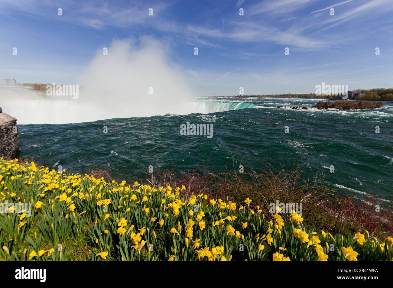View at Niagara Falls and flowers from Canadian side in spring season ...