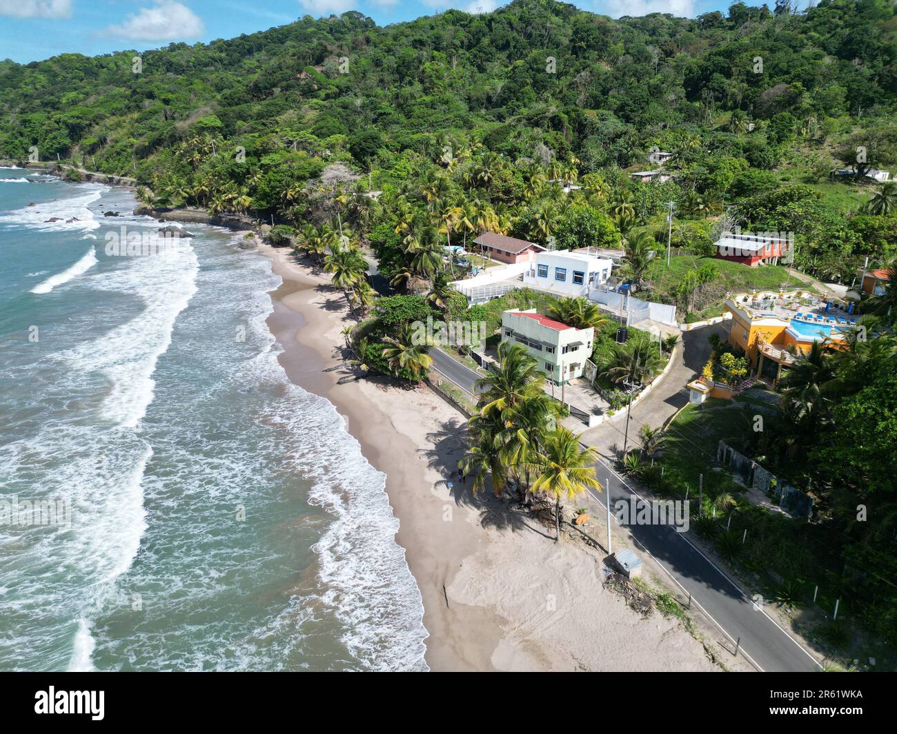 A scenic beach with a line of lush trees along the shoreline and a few ...