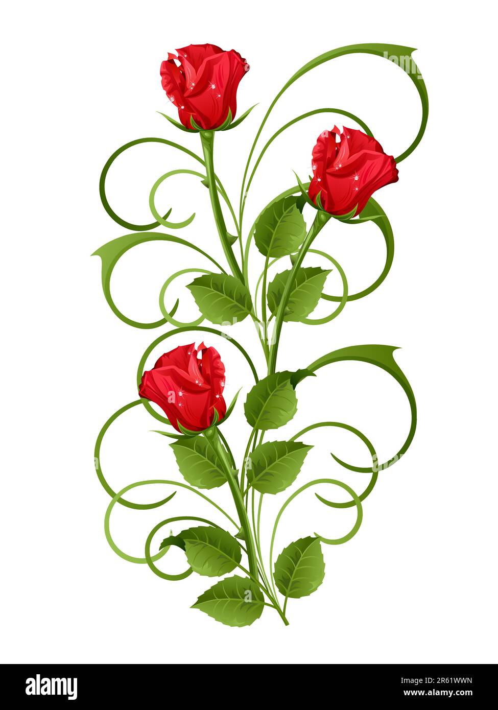 Three red roses on a white background Stock Vector Image & Art - Alamy