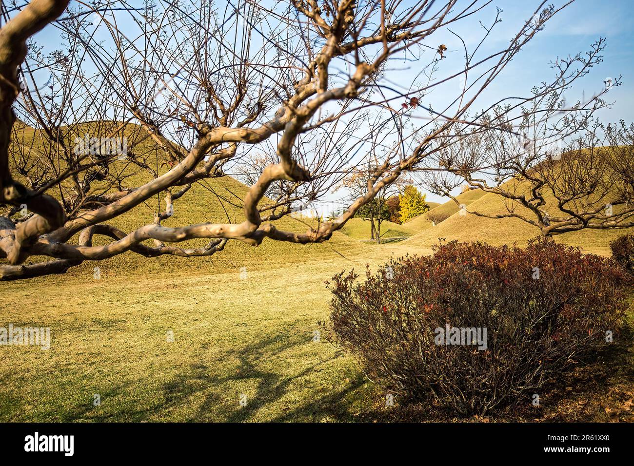 A park of kingly tombs Stock Photo - Alamy