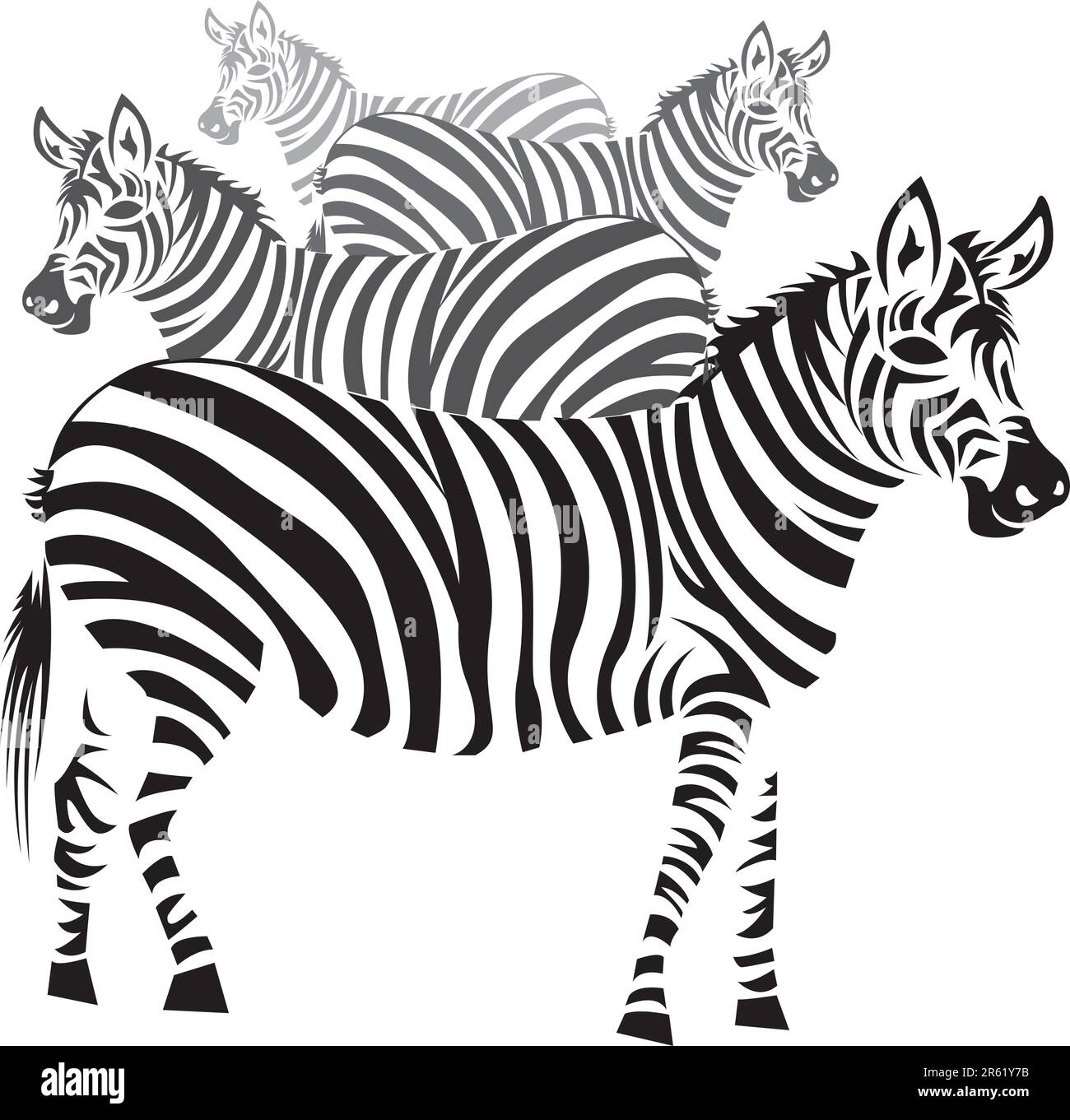 Zebra Pattern Design Stock Vector Image Art Alamy zebra-pattern-design-stock-vector-image-art-alamy