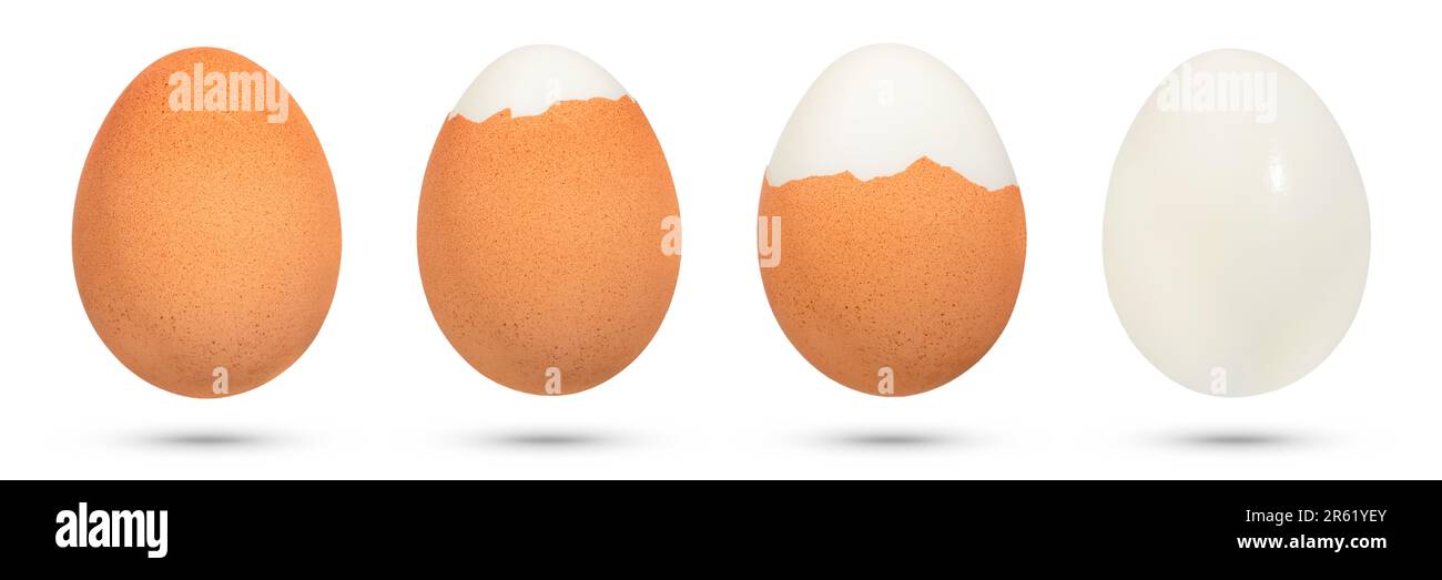 Boiled chicken eggs, with different levels of shelling on a white ...