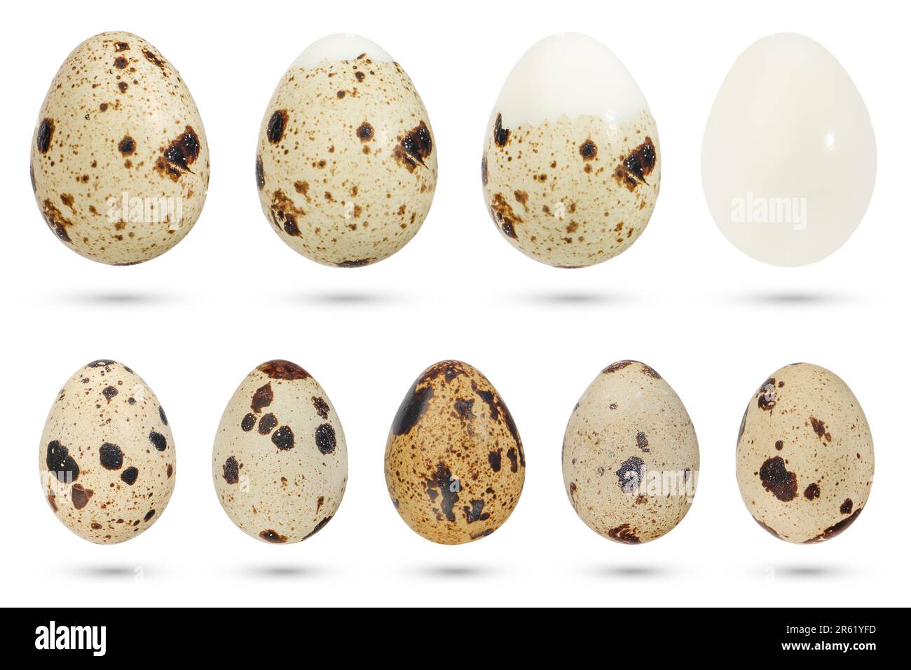 Quail eggs isolated on white background. A set of boiled quail eggs of ...