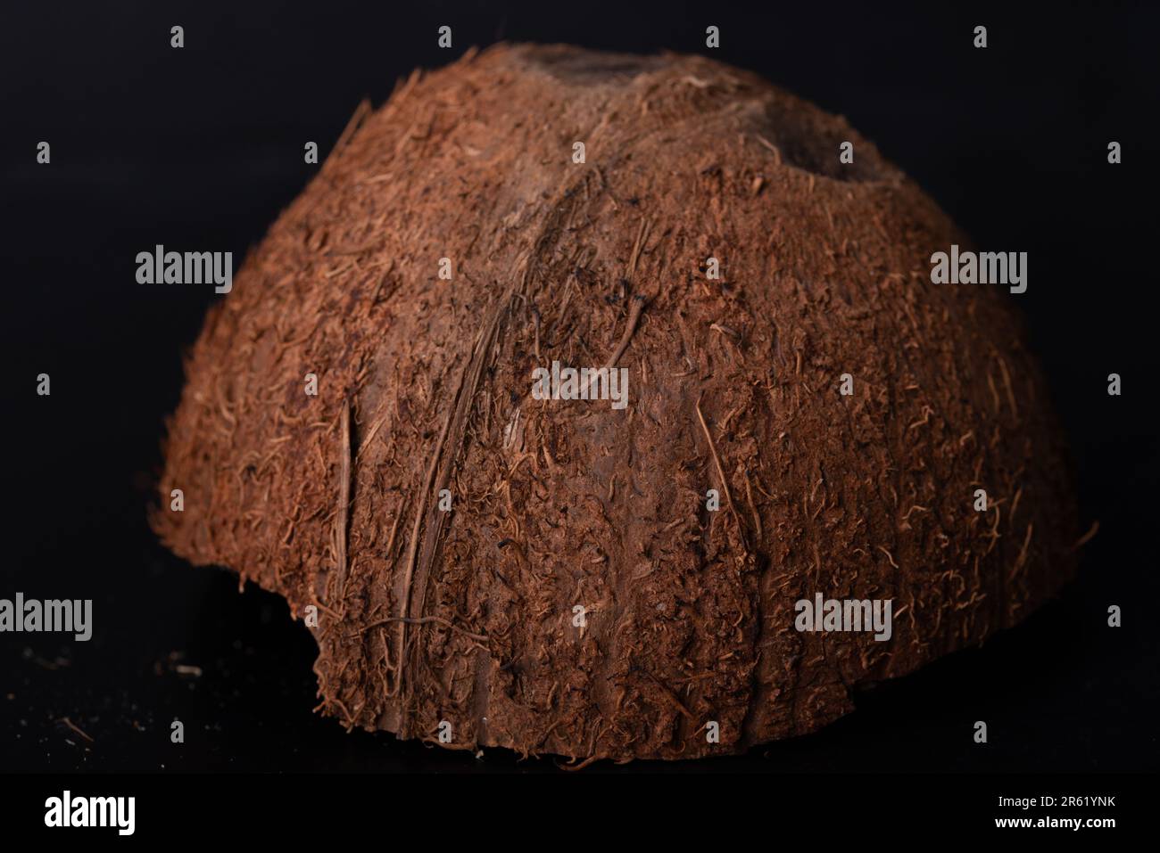 Close-up of coconut shell with its fibers and its texture Stock Photo ...