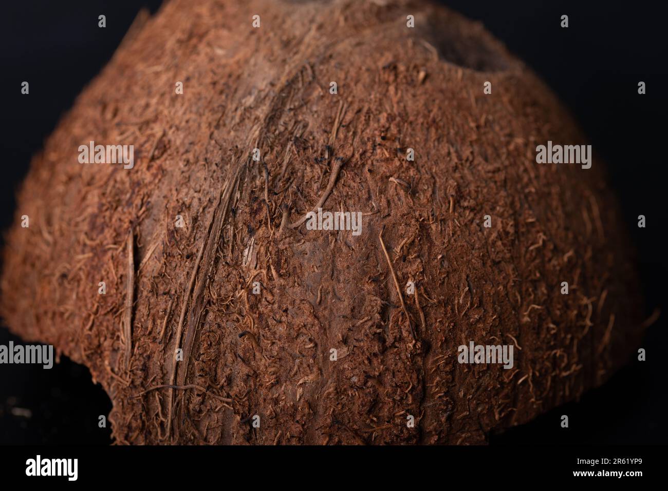 Close-up of coconut shell with its fibers and its texture Stock Photo ...