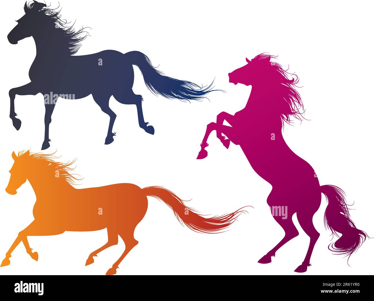 Animal detailed Stock Vector Images - Alamy