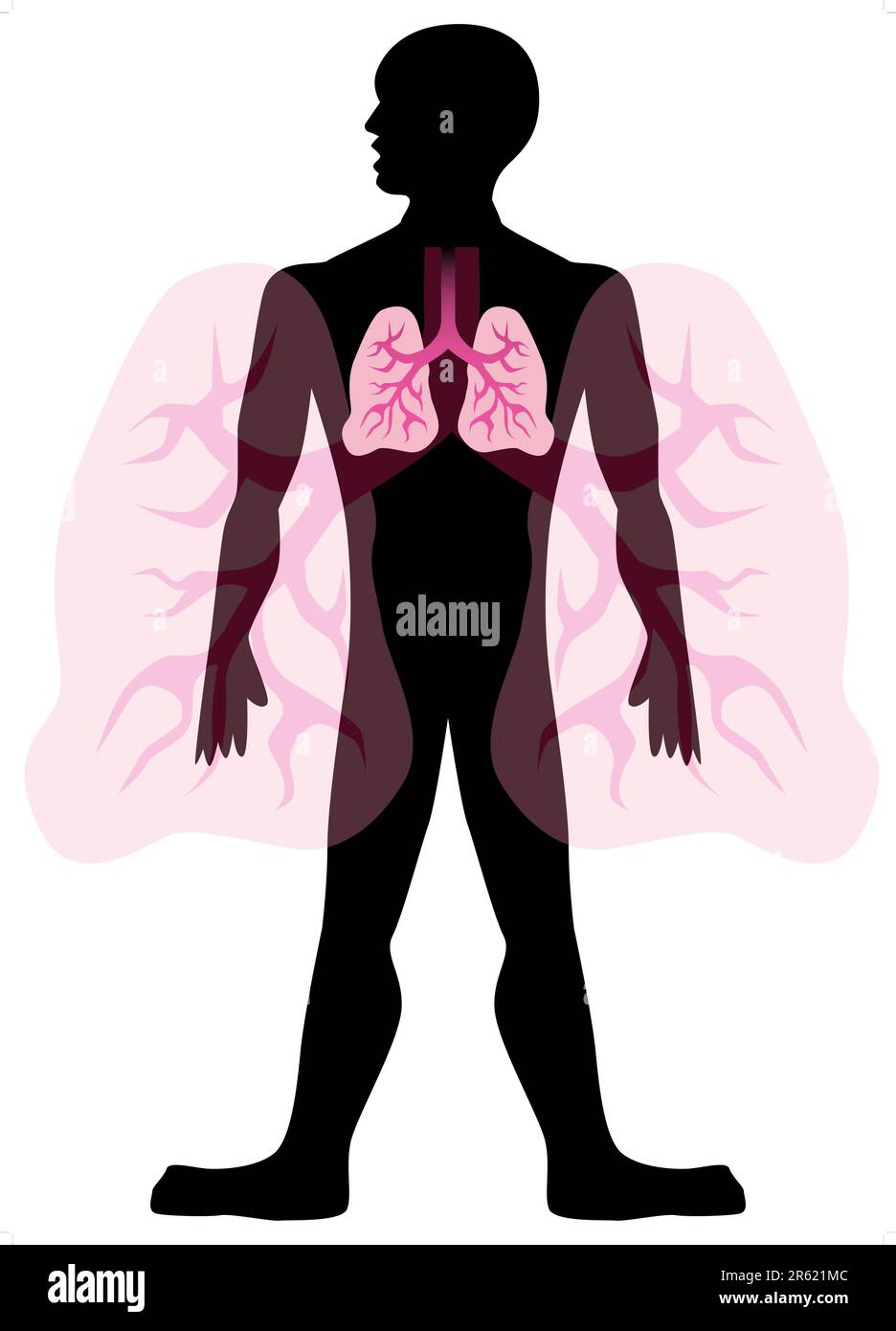 Lung man isolated on a white background Stock Vector Image & Art - Alamy