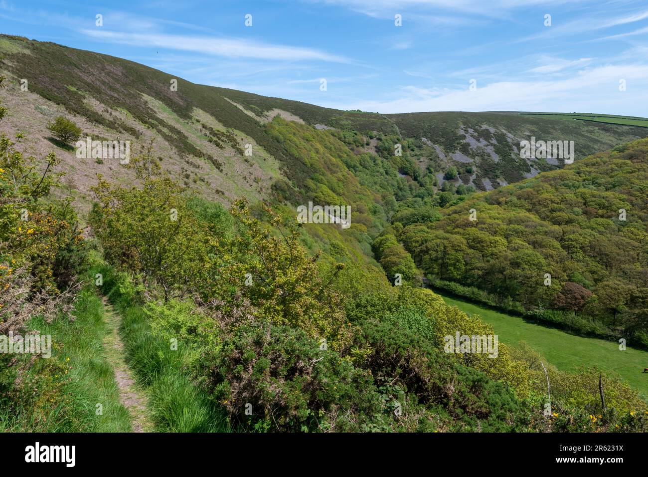Landscape photo of the Doone valley in Exmoor National Park Stock Photo ...