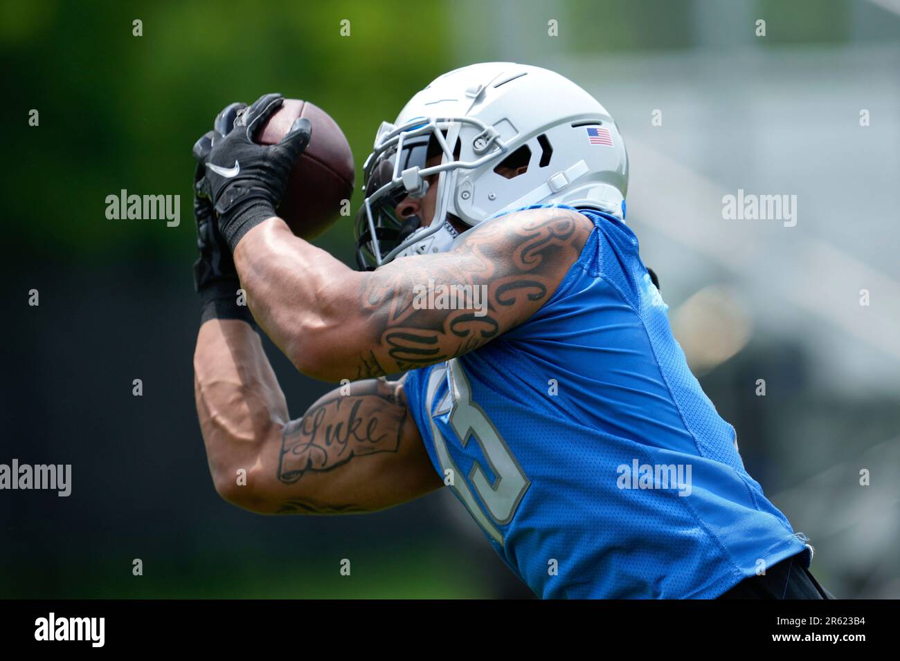 Detroit Lions running back Craig Reynolds catches a pass during an NFL ...