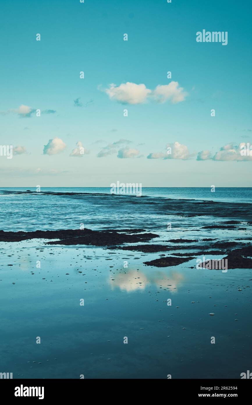 A group of people standing in shallow water on a beach, with waves ...