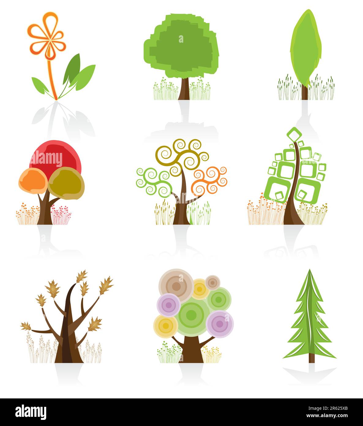 Acer bonsai Stock Vector Images - Alamy