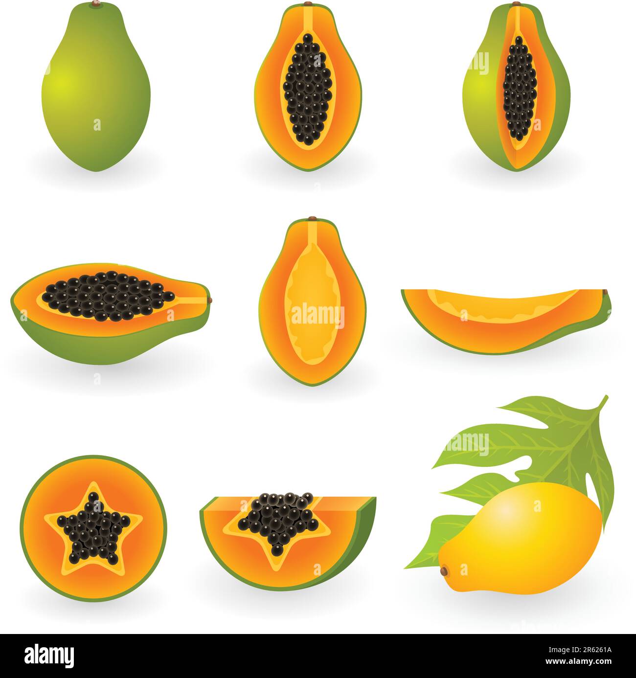 Vector illustration of papaya Stock Vector Image & Art - Alamy