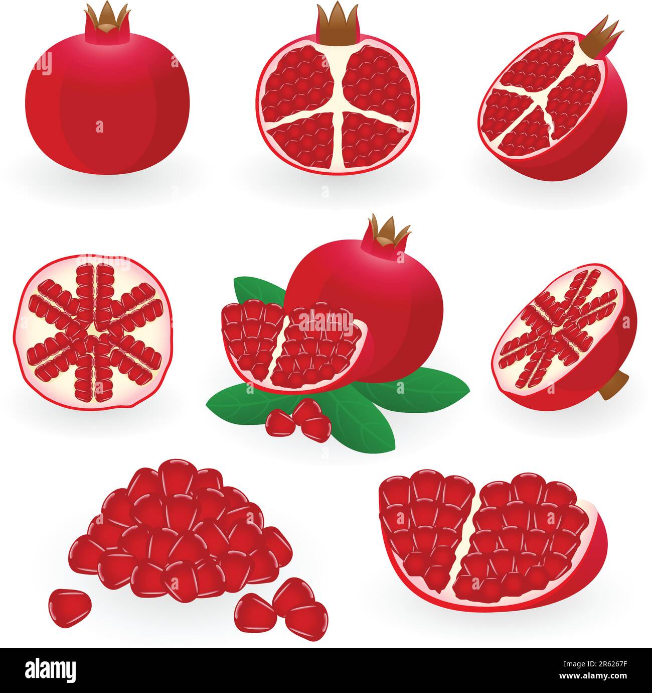Vector illustration of pomegranate Stock Vector Image & Art - Alamy