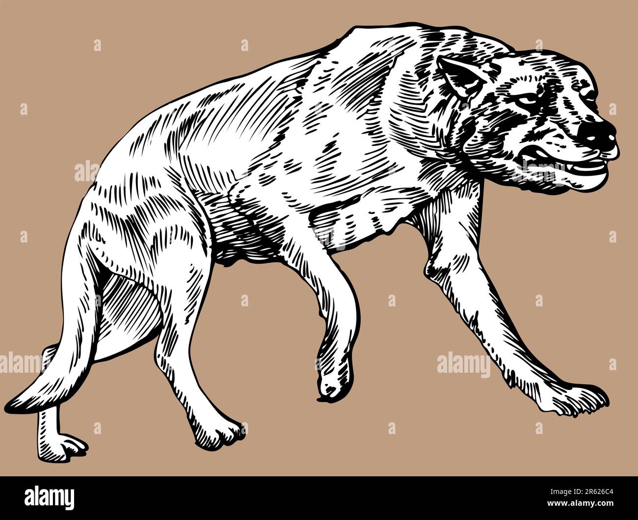 Dire wolf Stock Vector Images - Alamy