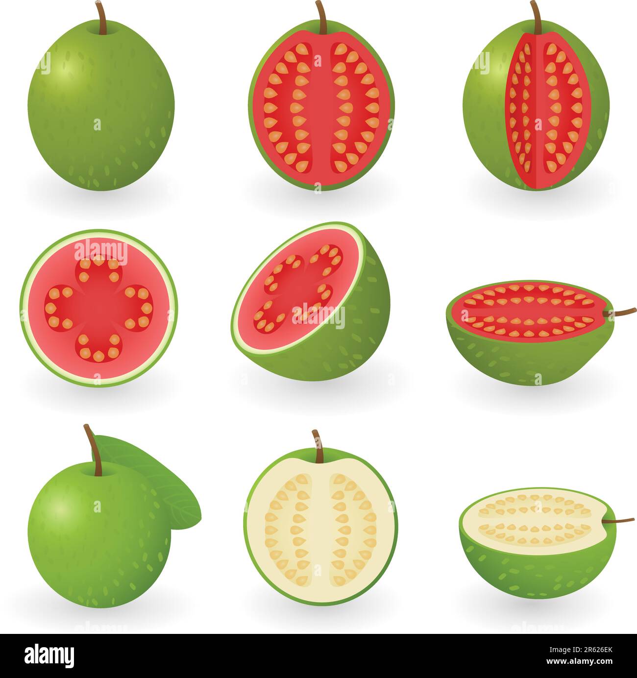 Vector illustration of guava Stock Vector Image & Art - Alamy