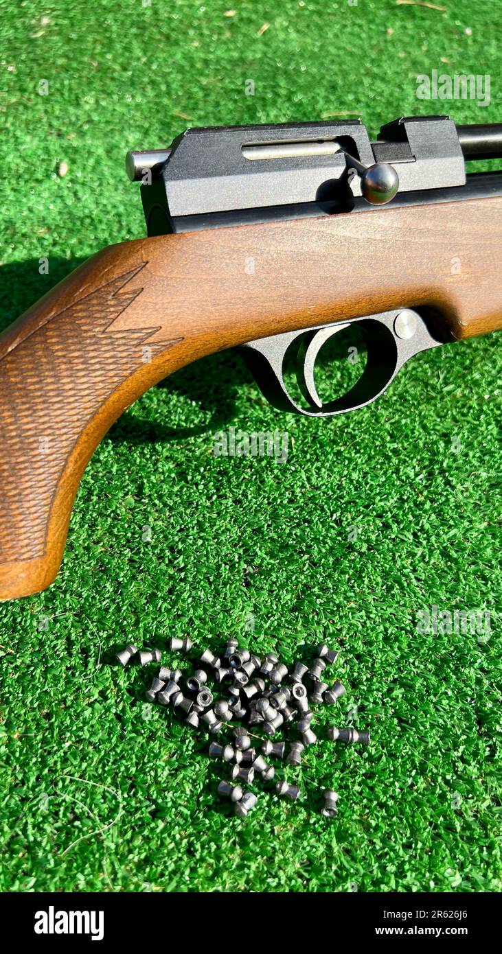 An image of a semi-automatic rifle, with its scope pointed away from ...