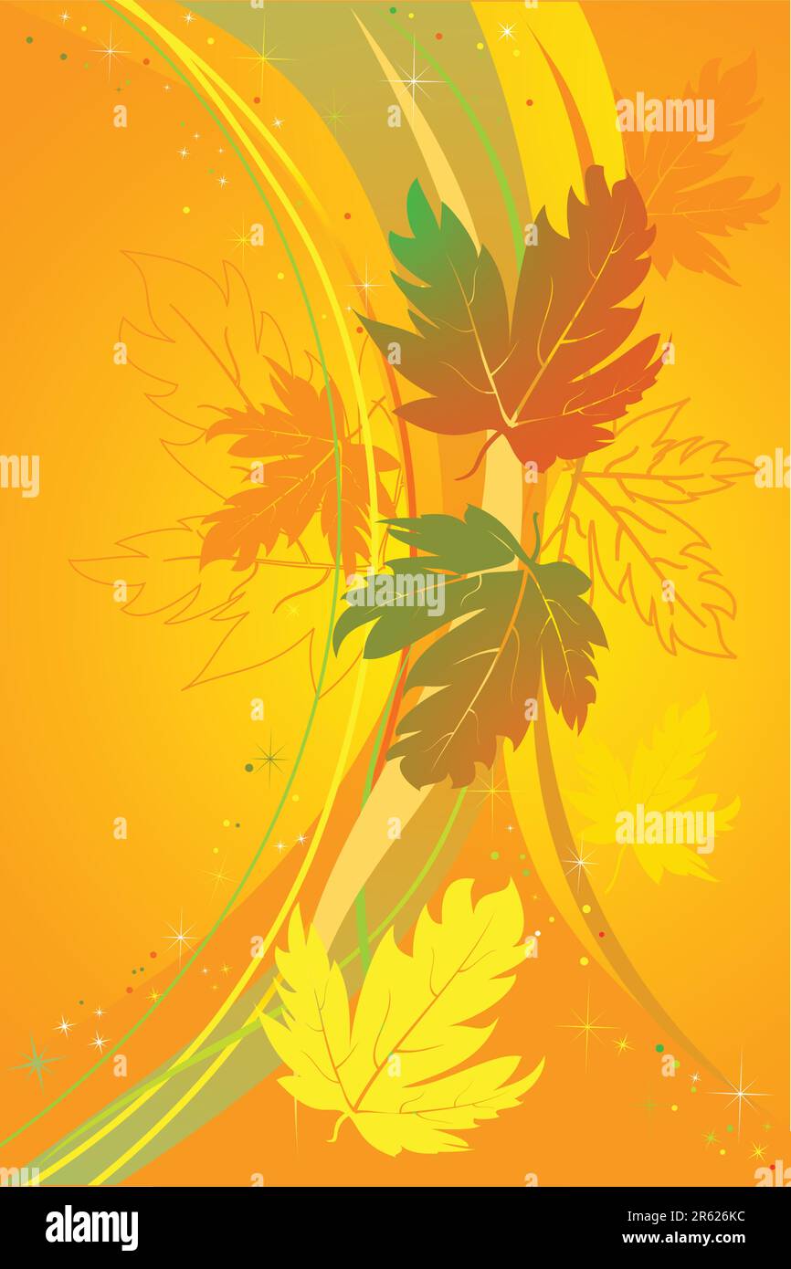 Acer fall leaves Stock Vector Images - Alamy