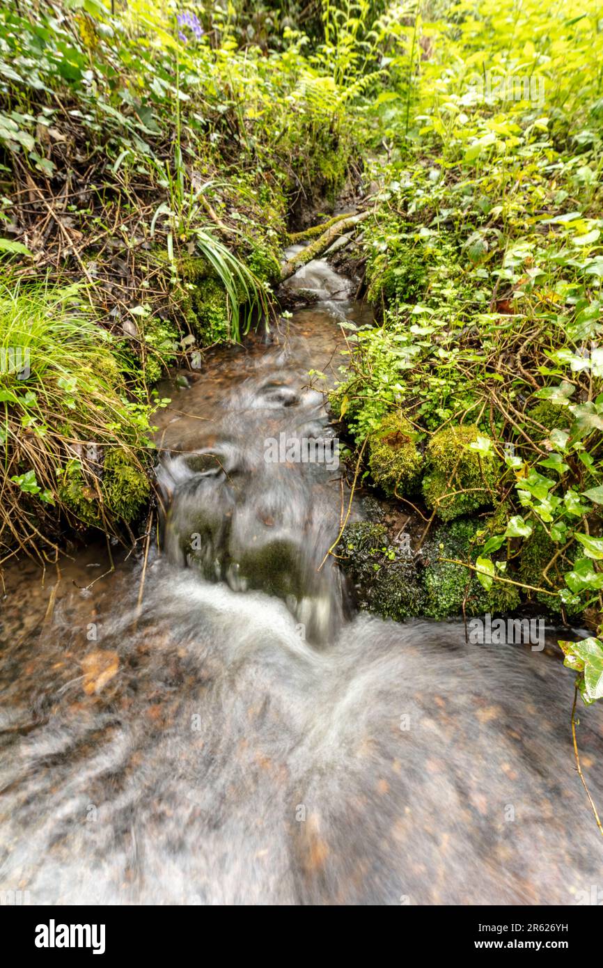 Intimate cascade waterfall landscape in the woodlands of Keston Ponds ...