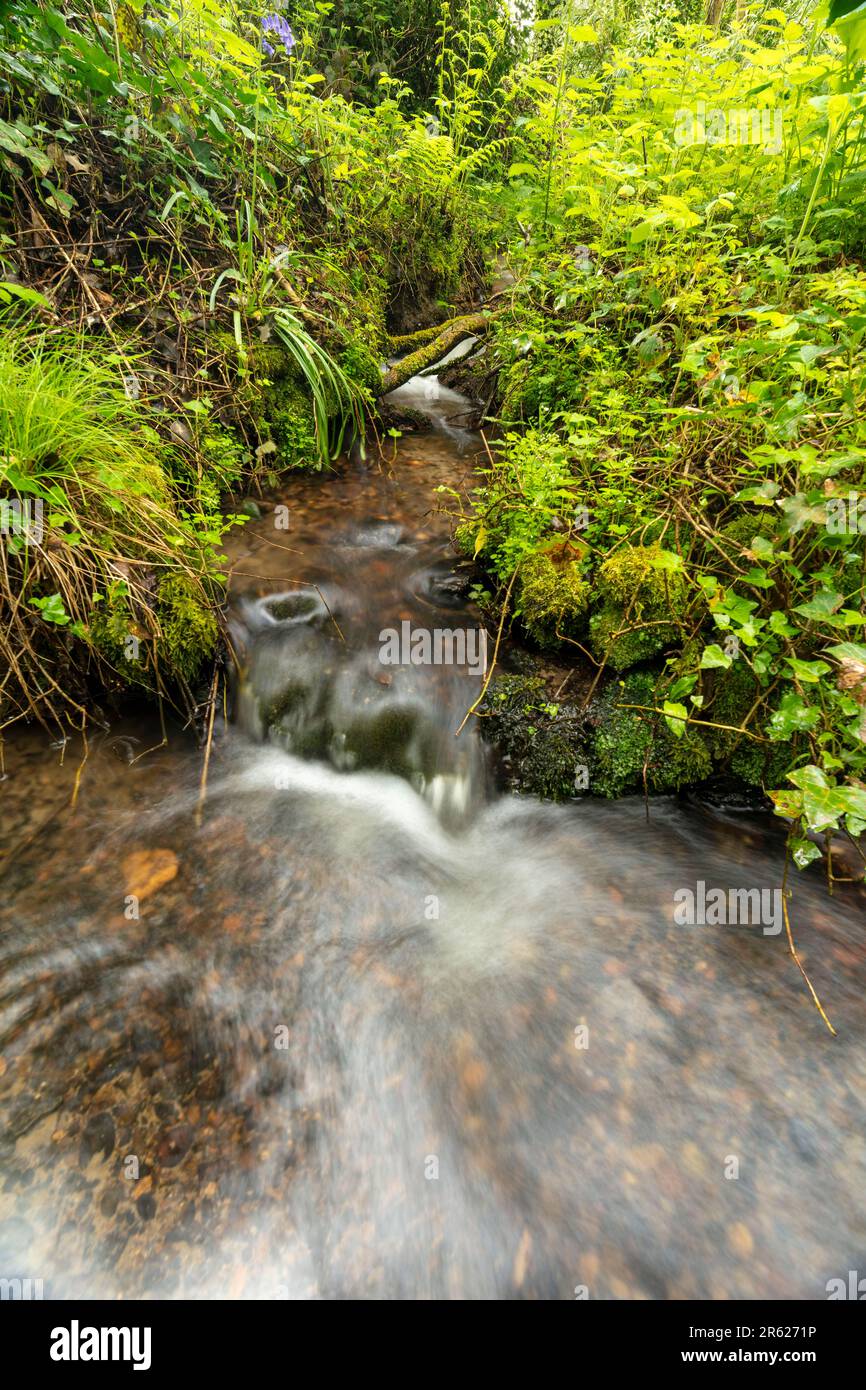 Intimate cascade waterfall landscape in the woodlands of Keston Ponds ...