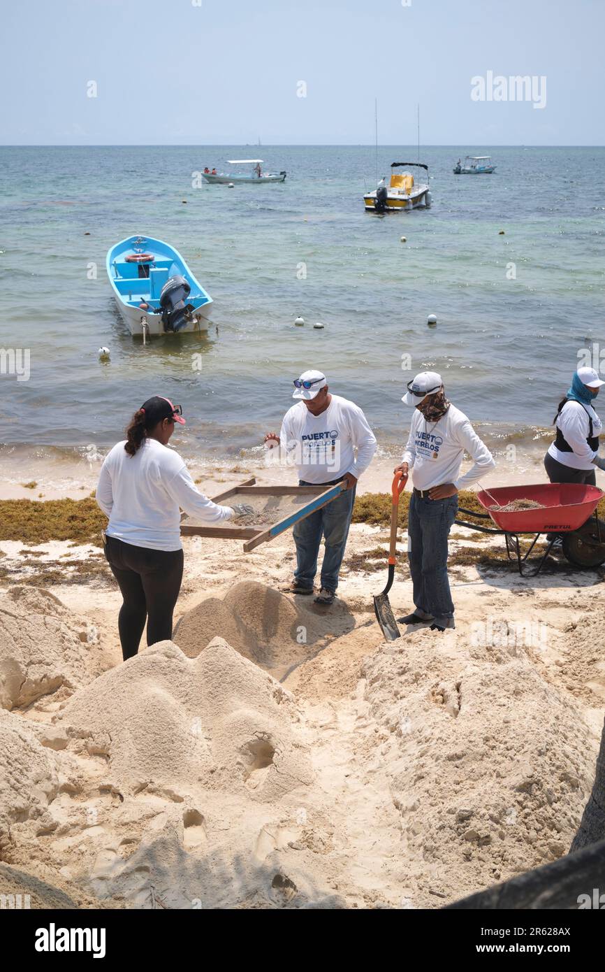 Blue Flag workers cleaning the beach sand at Puerto Morelos Yucatan ...