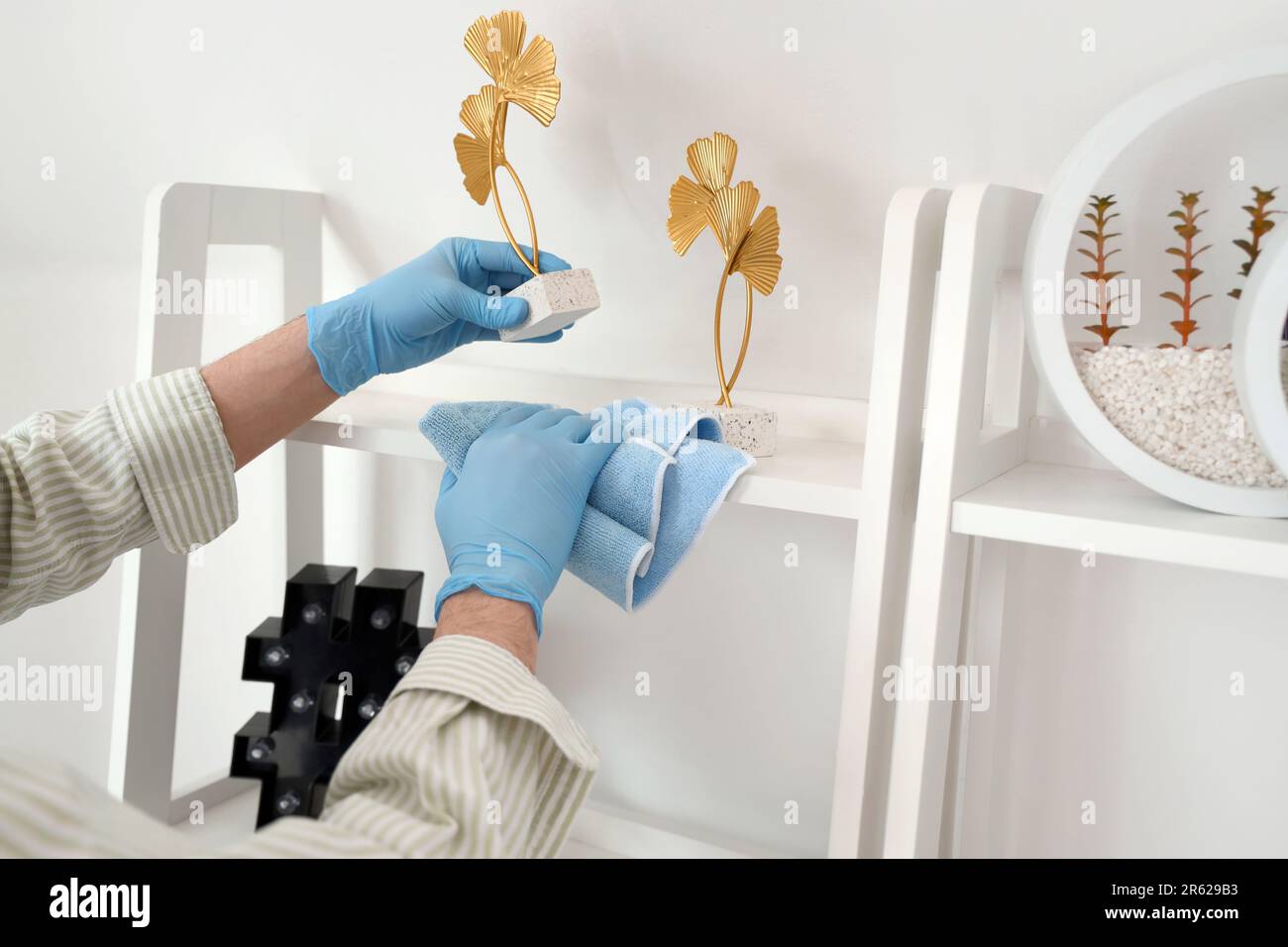 Male janitor cleaning shelf in living room, closeup Stock Photo - Alamy