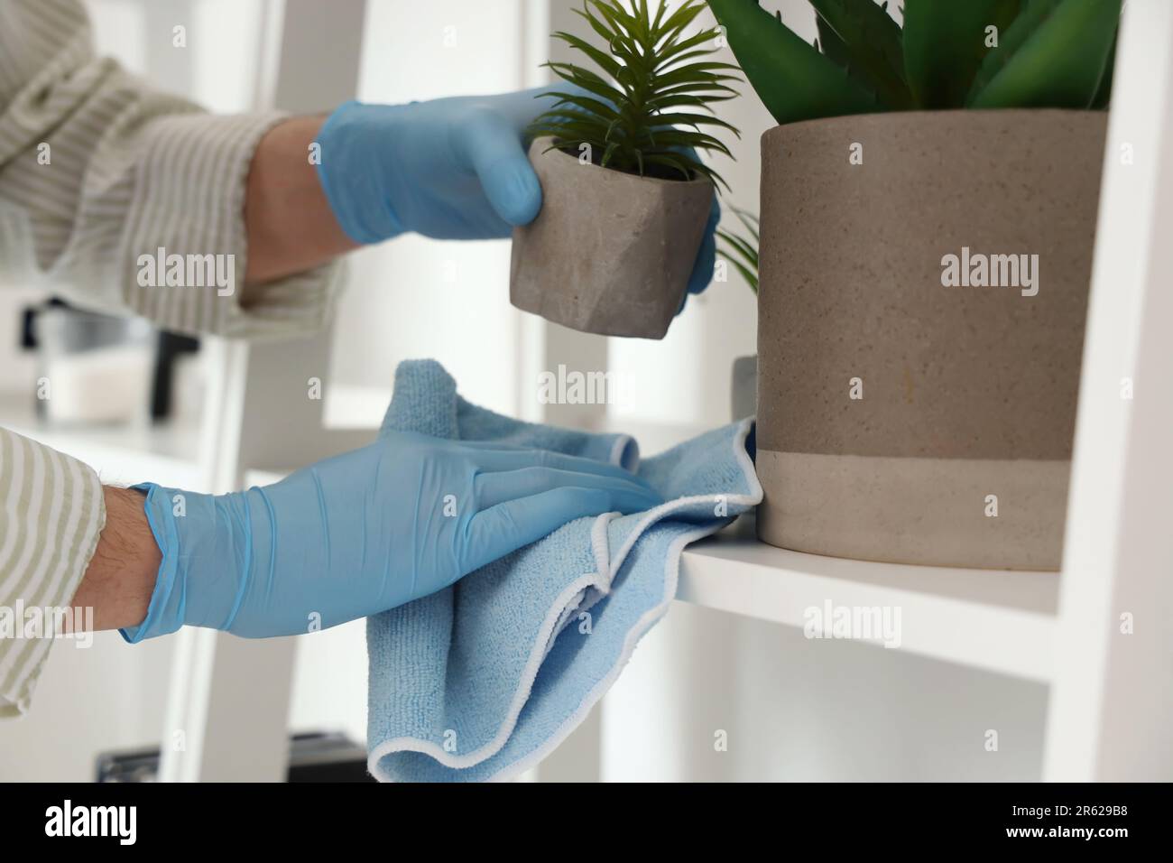 Male janitor cleaning shelf in living room, closeup Stock Photo - Alamy