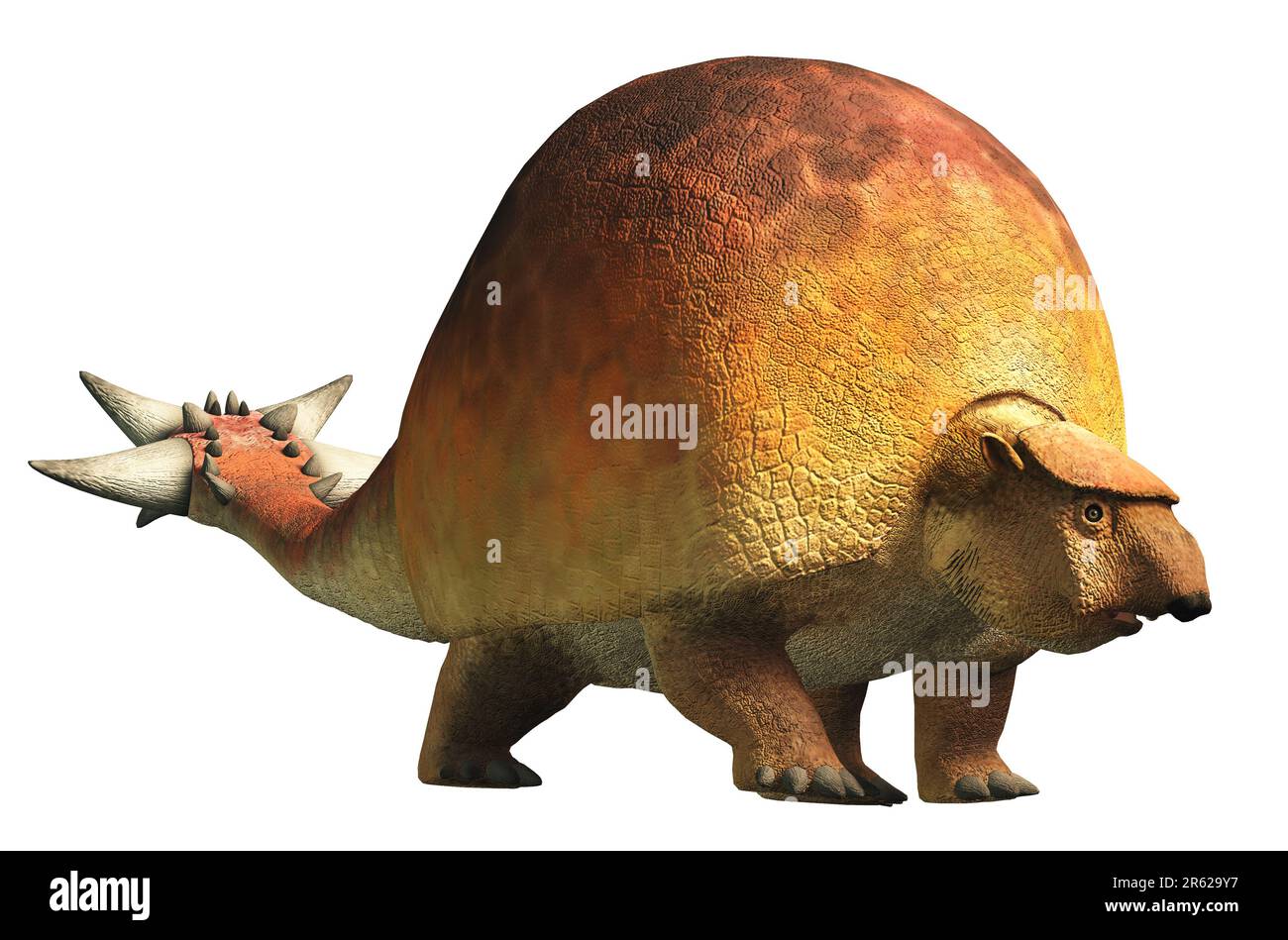 Doedicurus was a prehistoric mammal, a type of glyptodont that ...